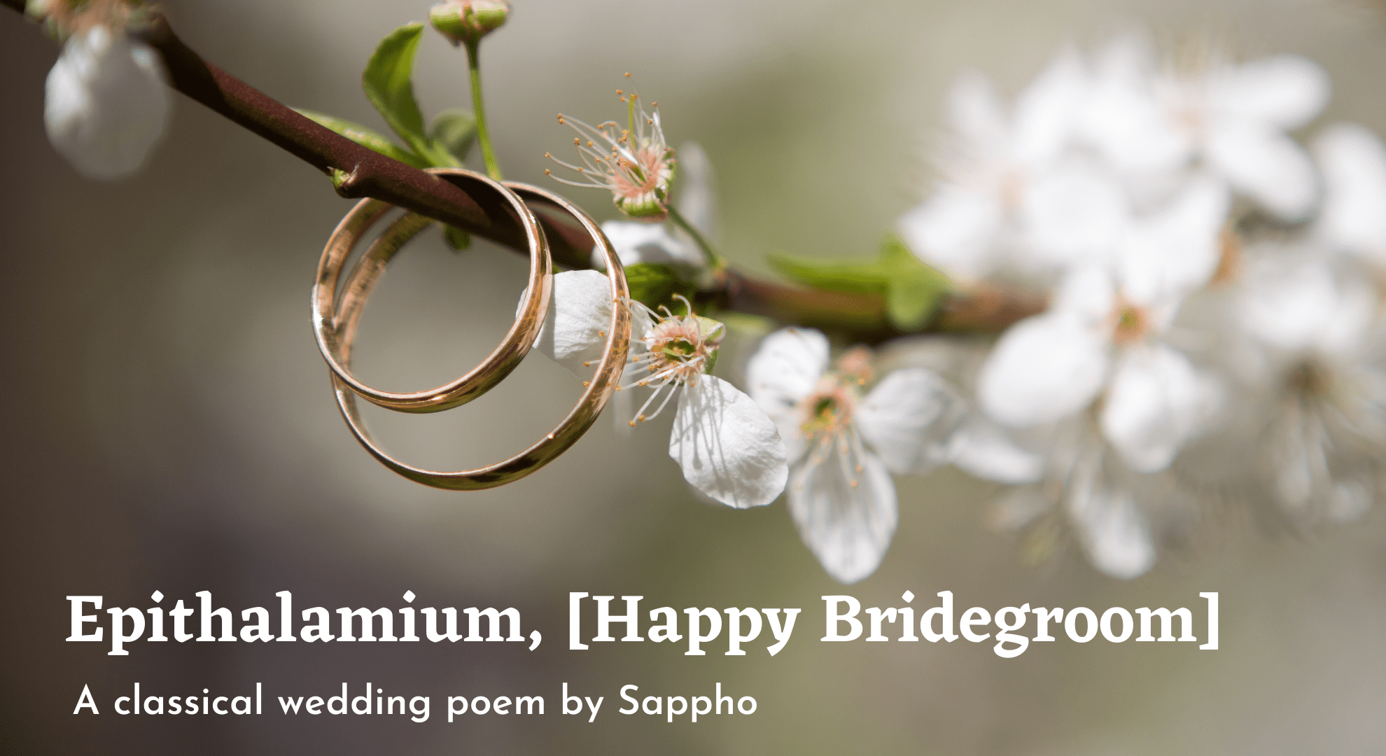 Epithalamium, Happy Bridegroom | A Wedding Poem by Sappho